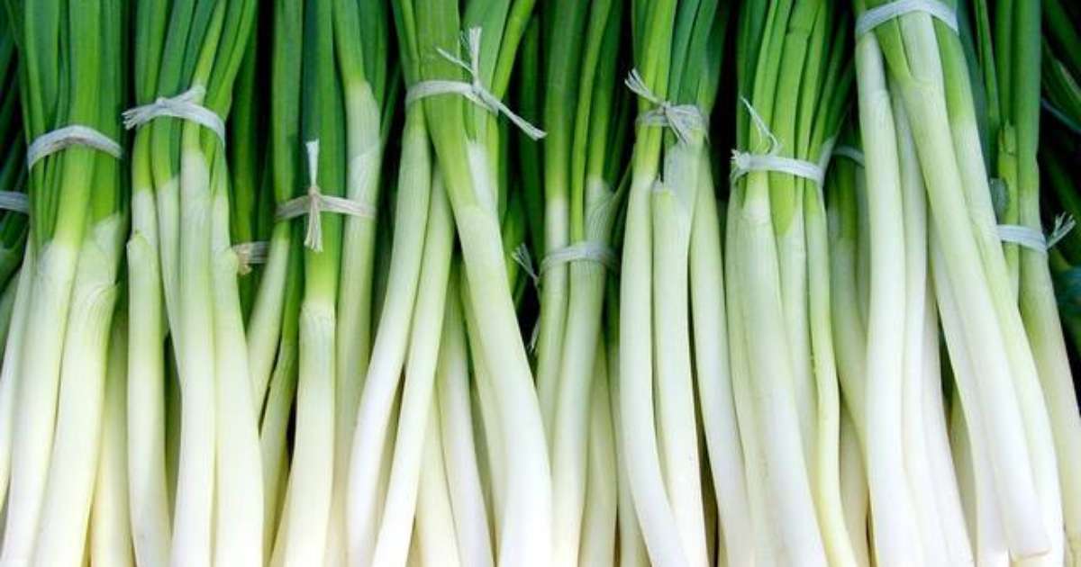 7 coisas que você precisa saber sobre a cebolinha