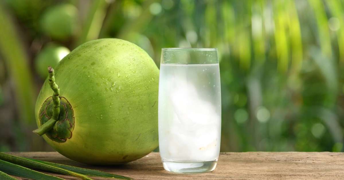Água de coco hidrata mais? Entenda o que é melhor para o treino