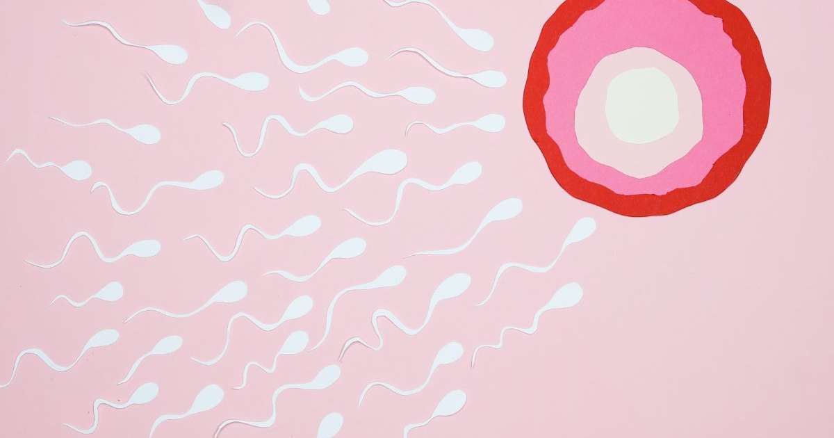 6 hábitos que podem interferir na fertilidade