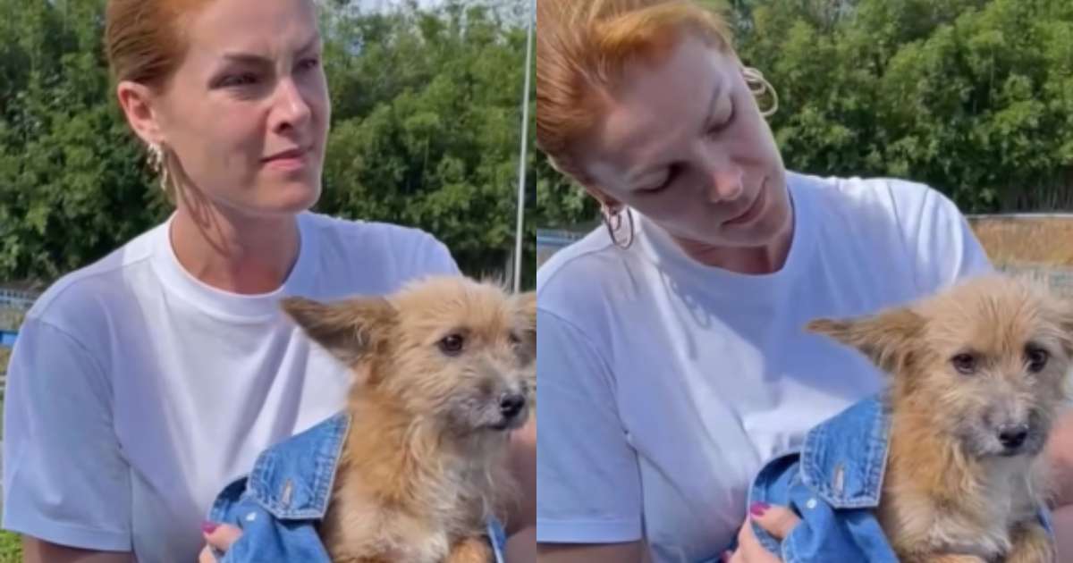 Ana Hickmann resgata cachorro abandonado em beira de estrada: "É um bebê"