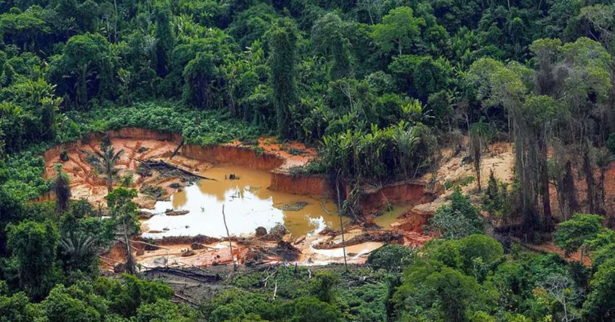 Cerca de mil garimpeiros resistem a deixar Terra Yanomami, na Amazônia