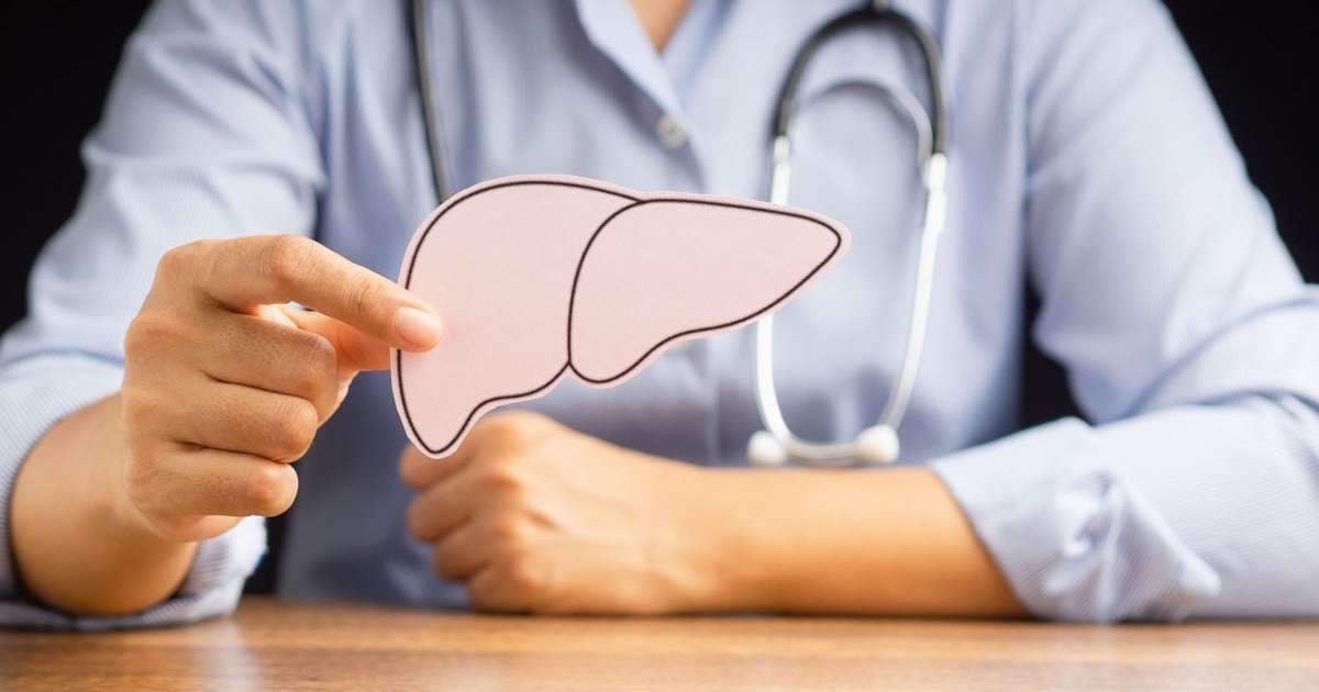 Fígado: conheça as funções e as doenças que afetam o órgão