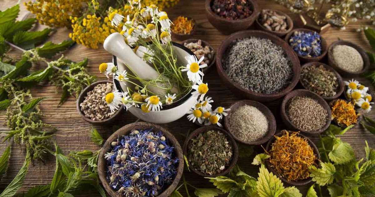 Banho de ervas: especialista ensina como fazer e quais plantas usar