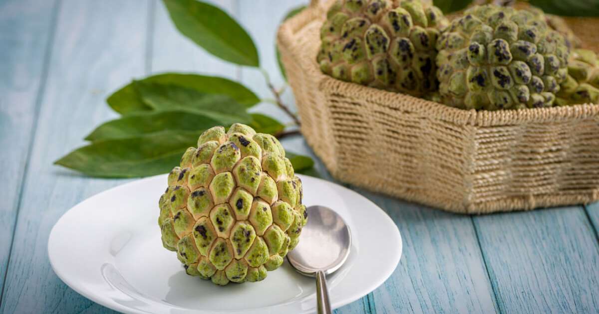 3 receitas para incluir a pinha na alimentação