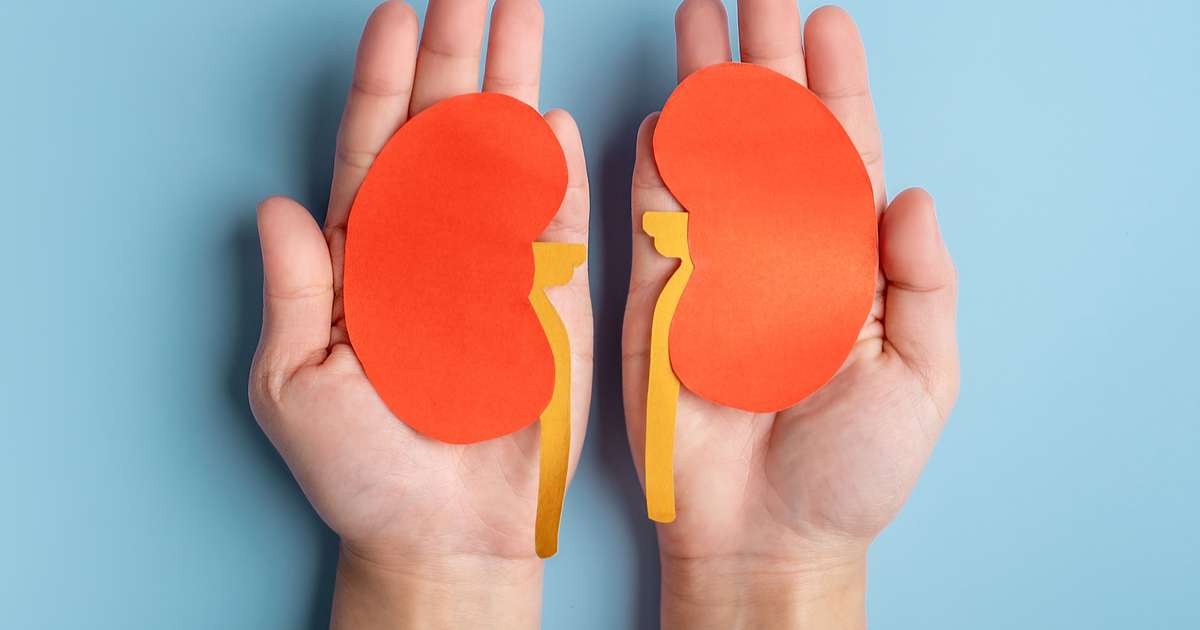 Pedras nos rins: conheça as causas e veja como prevenir