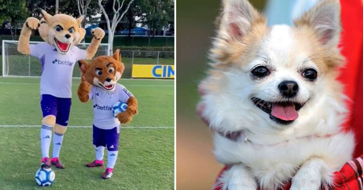 Mudanças em mascotes do Cruzeiro rendem enxurrada de memes na web