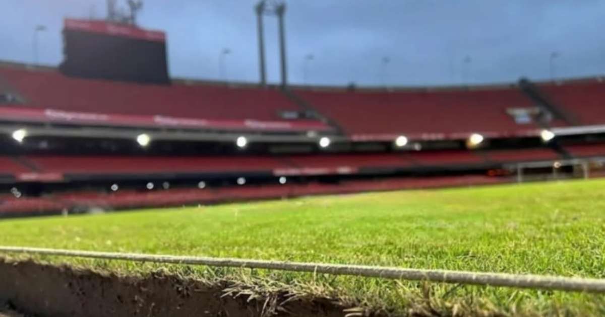 São Paulo finaliza plantio de novo gramado do Morumbi; veja imagens de ...