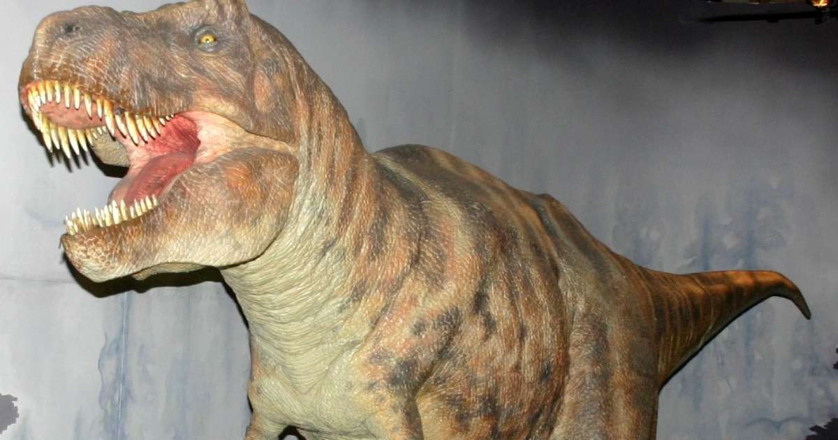 Tiranossauro tinha lábios e dentes ocultos, diz estudo