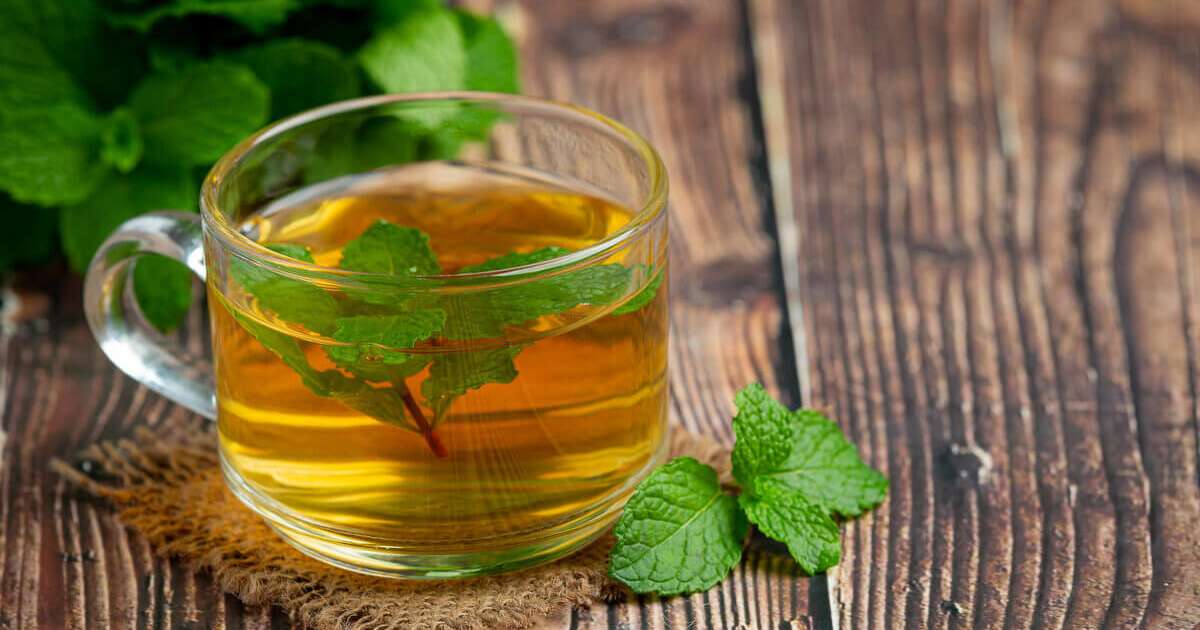 12 plantas fáceis de cultivar para fazer chás