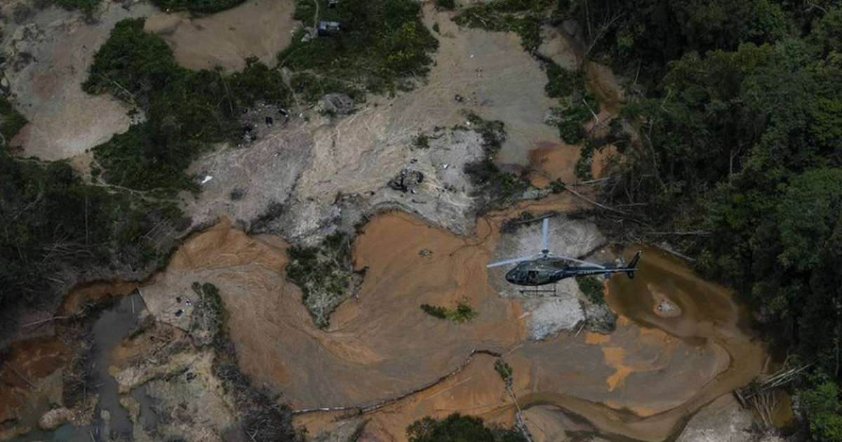 Garimpo ilegal cresce 35 mil hectares em 2022; 40% começou nos últimos ...
