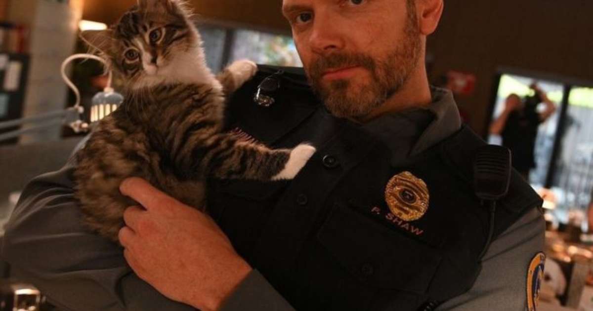 Fox renova série criticada pelo PETA: "Sopa repugnante de exploração ...