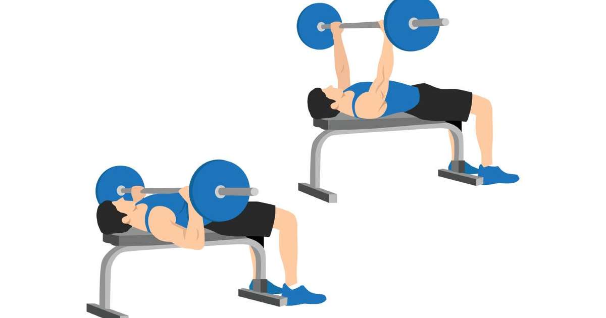 Exercícios básicos da musculação: 3 pilares da hipertrofia