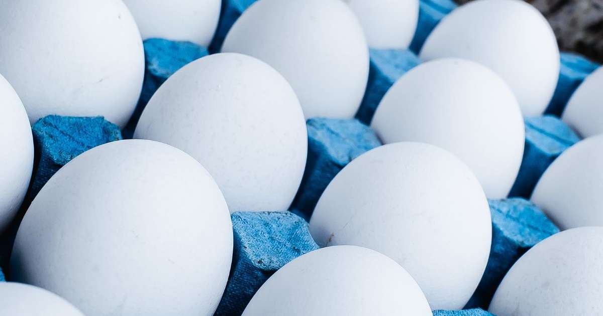 Ovos frescos: veja dicas para escolher e armazenar melhor o alimento