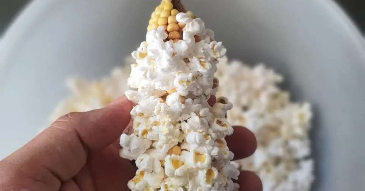 Pipoca na espiga é novidade que sua festa junina precisa; aprenda
