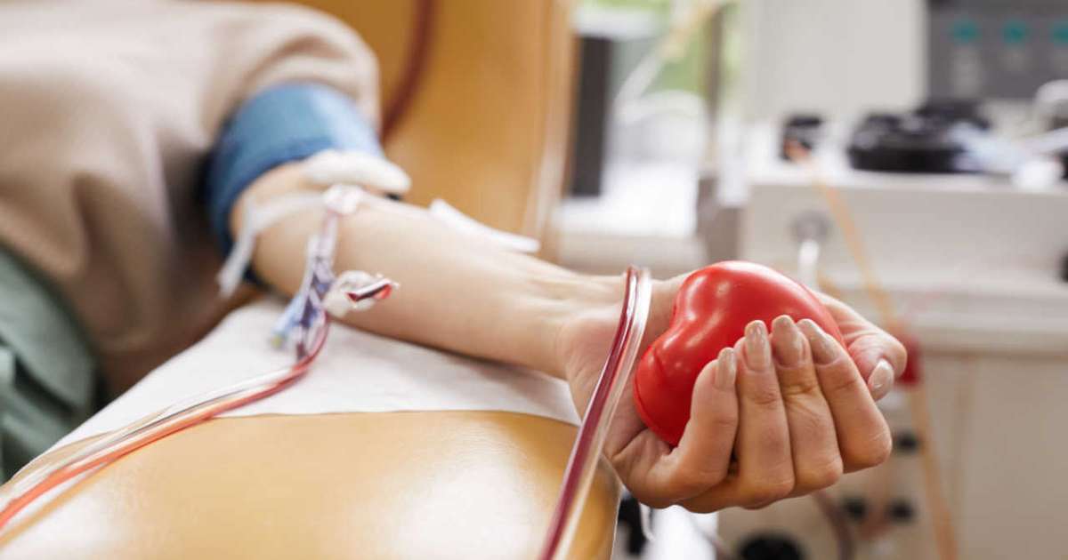 Dia do Doador de Sangue: saiba quais os requisitos para doar sangue
