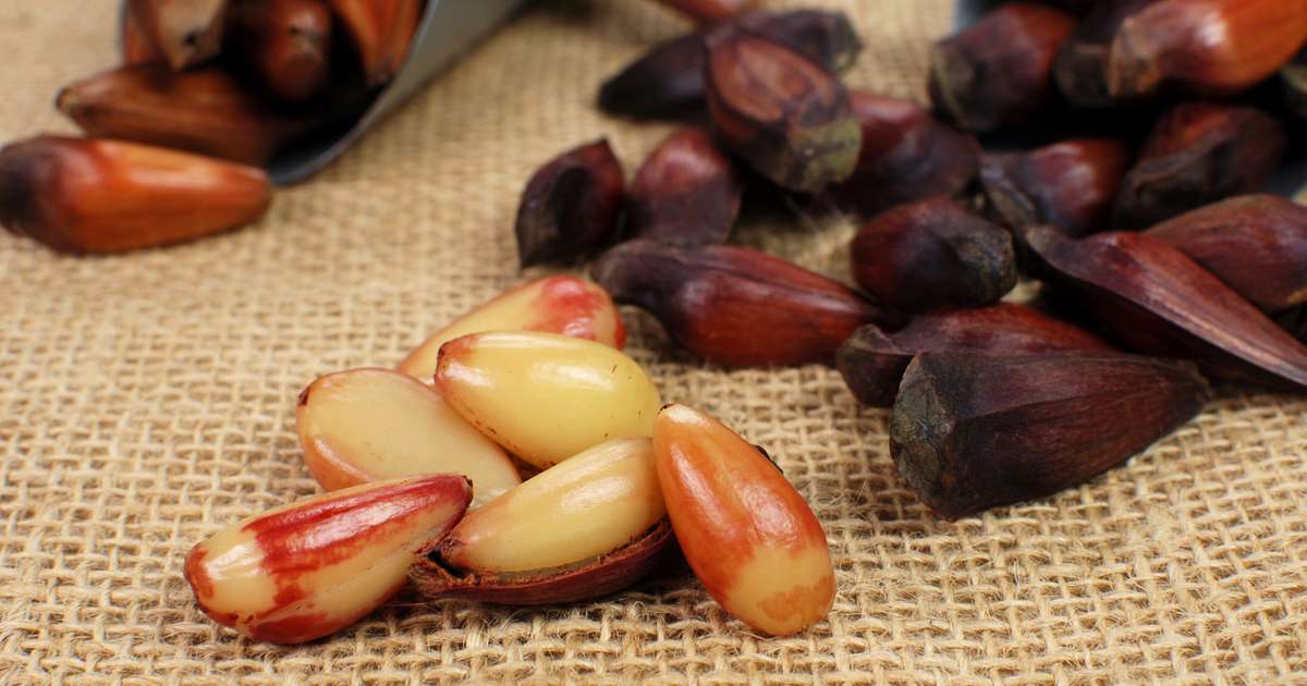 Festa junina: como fazer pinhão