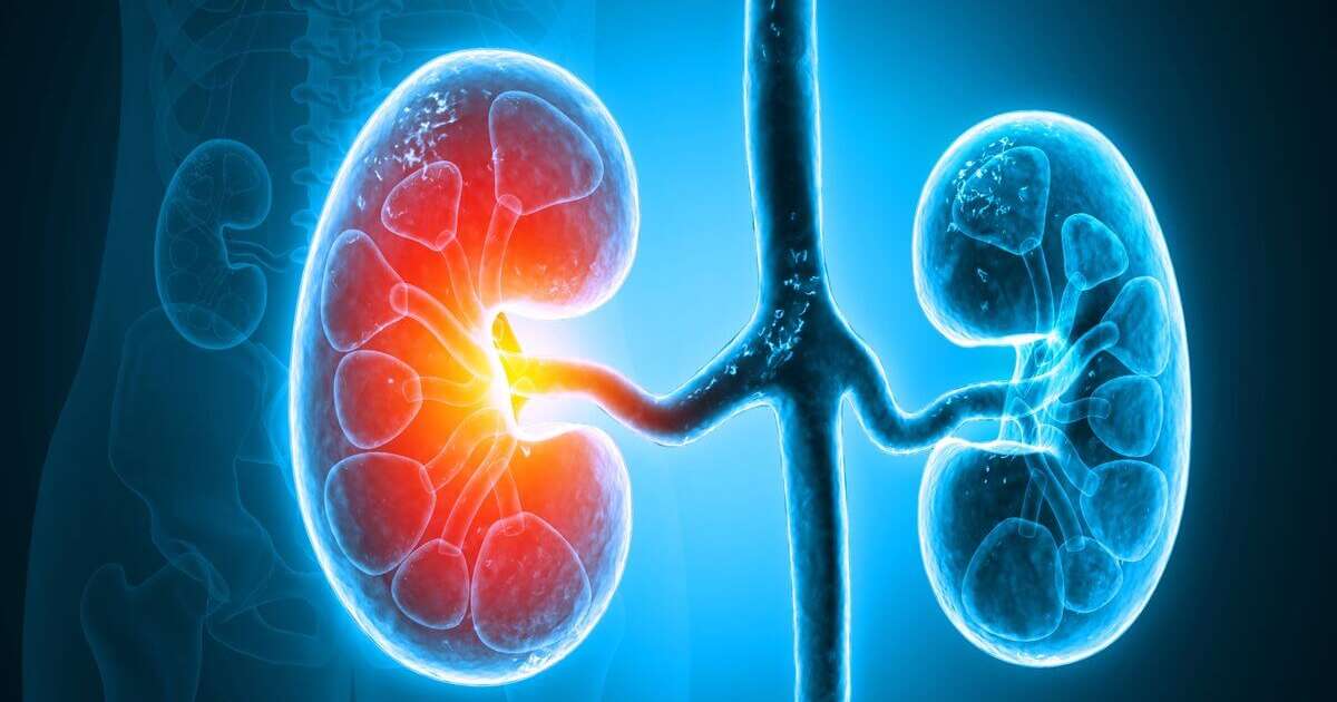 Hábitos durante o inverno aumentam os riscos de doenças renais