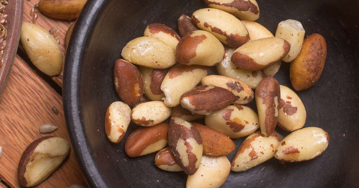 Castanha-do-Pará: 5 motivos para consumir esse superalimento