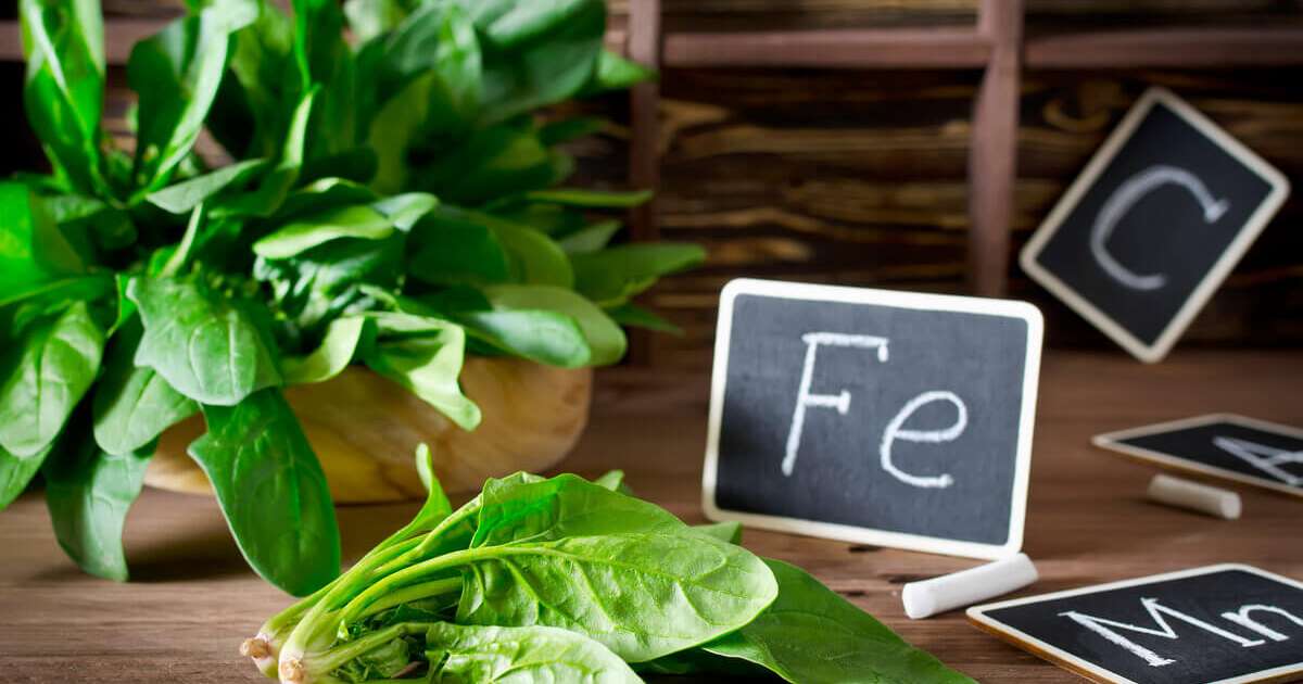 10 alimentos ricos em ferro para aumentar a disposição