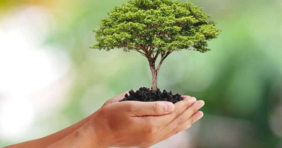 4 startups verdes que ajudam a reduzir impactos no meio ambiente