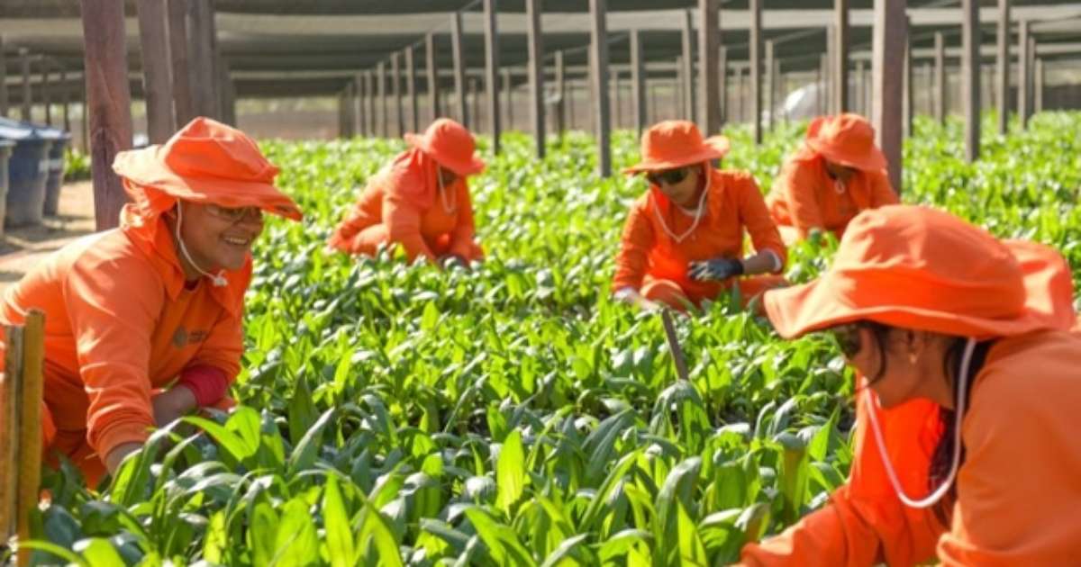 Grupo BBF já gerou mais de 1.400 empregos em 2023