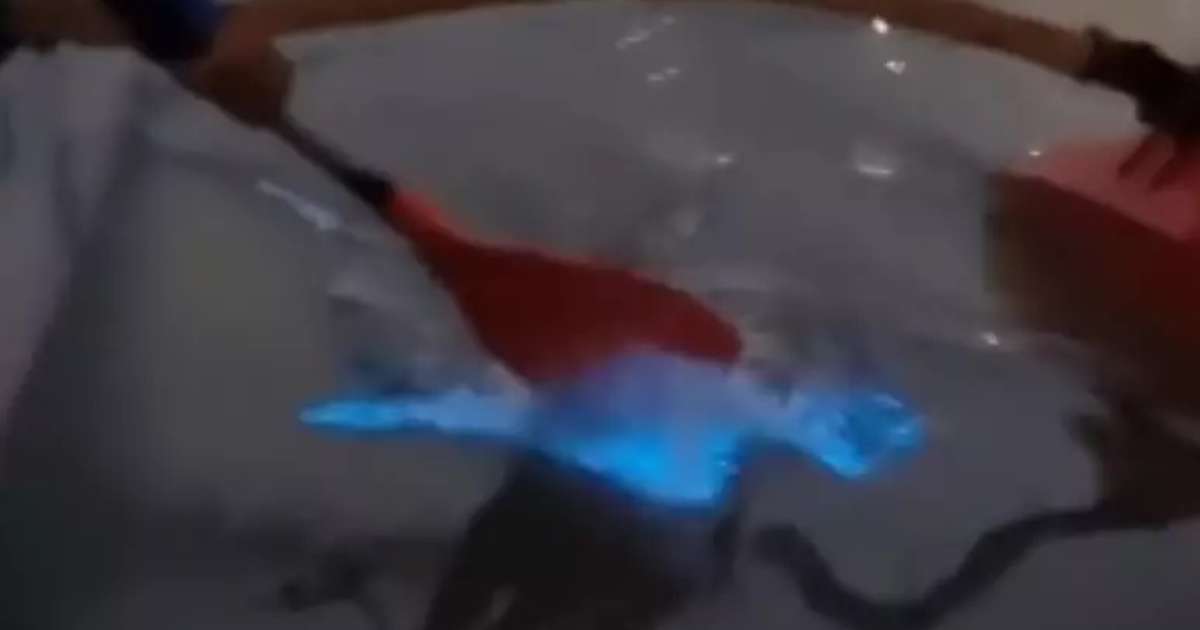 Mar de Florianópolis surge em cor azul neon em vídeo; entenda o fenômeno