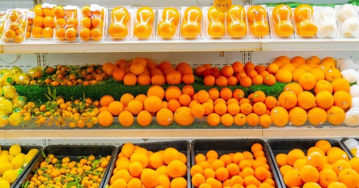 Laranja é tudo igual? Saiba as diferenças entre as mais populares