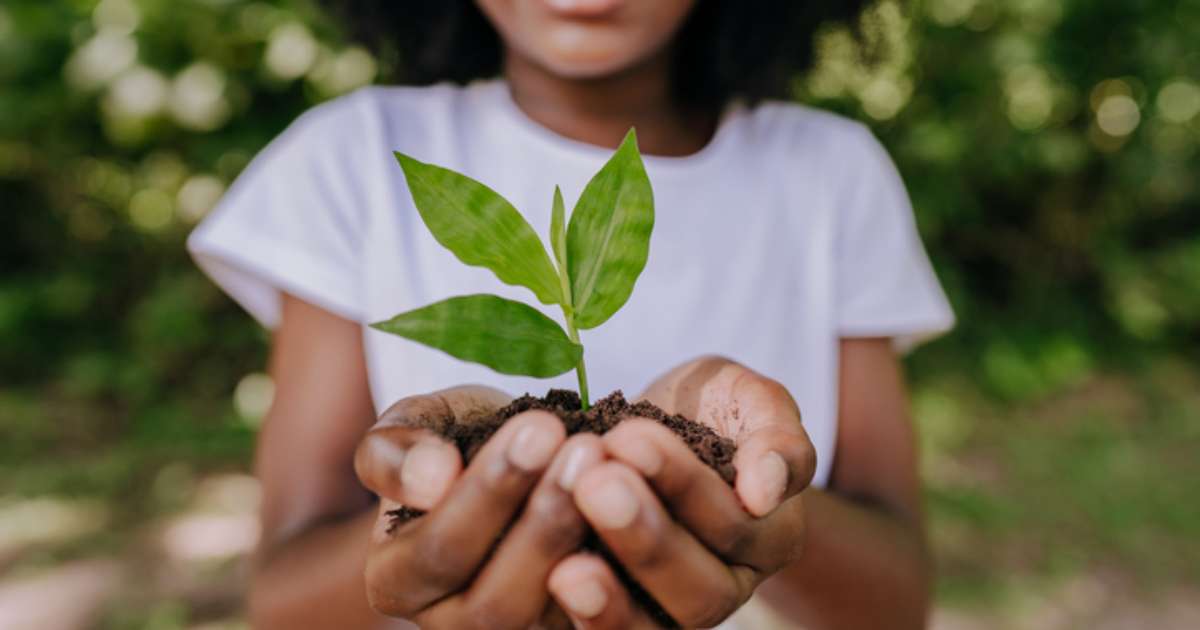 Ecologia: O que é, importância e o que estuda