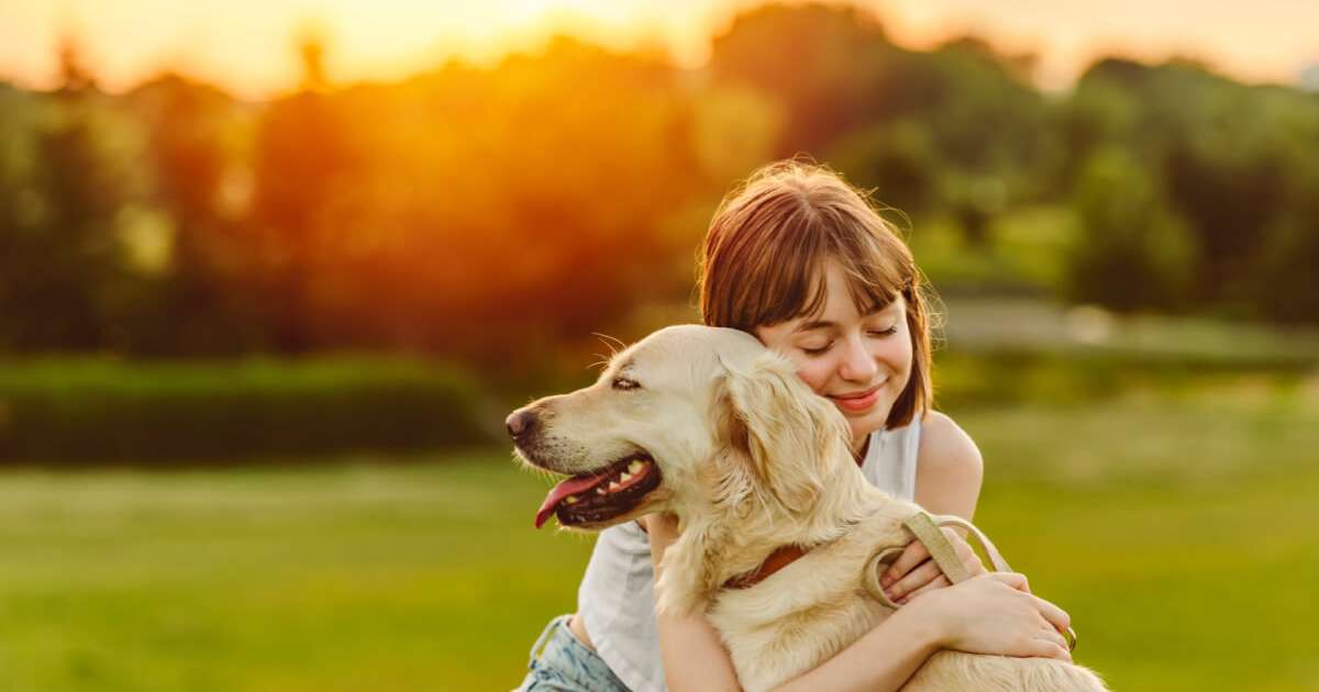 6 motivos pelos quais os cachorros entendem as emoções do tutor