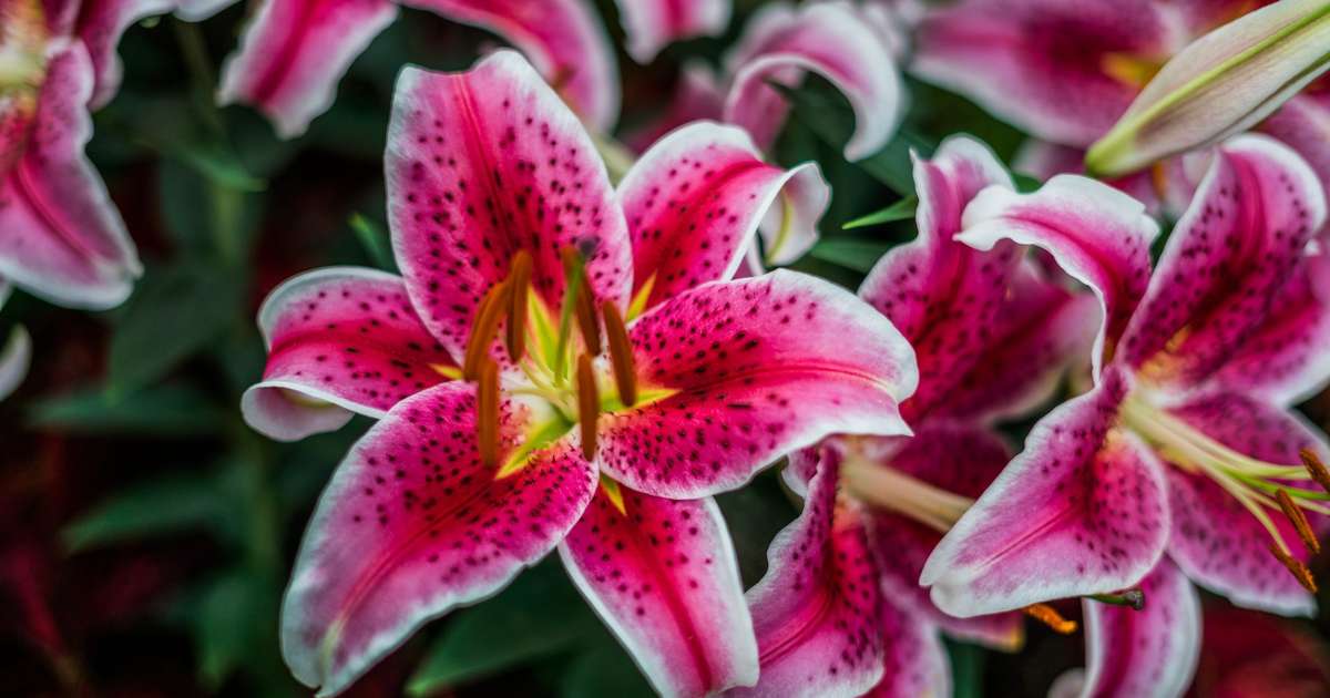 A primavera já começou, pelo menos para a comunidade científica; entenda