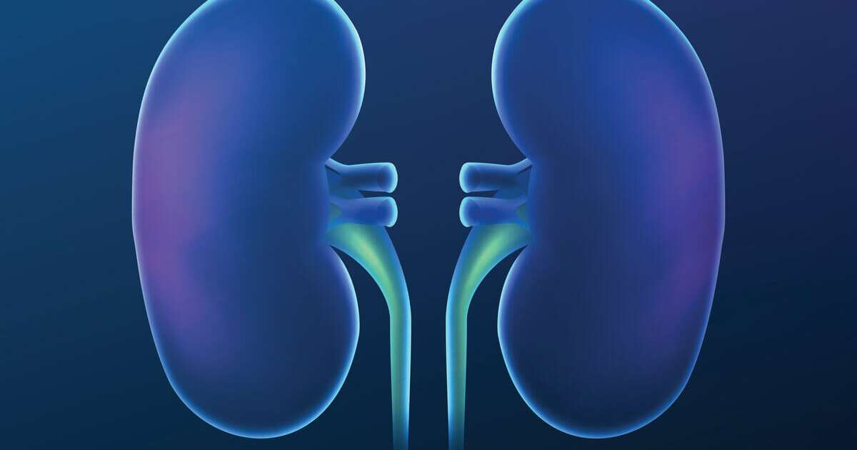 7 dúvidas comuns sobre doação de rins