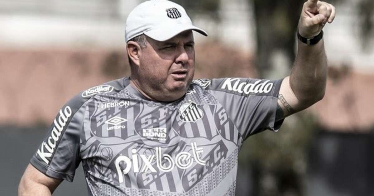Veja os fatores que Marcelo Fernandes precisa aplicar no elenco do Santos