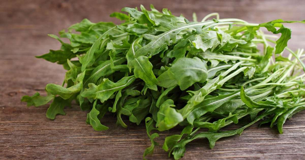Rúcula: veja 3 motivos para acrescentar a verdura na dieta