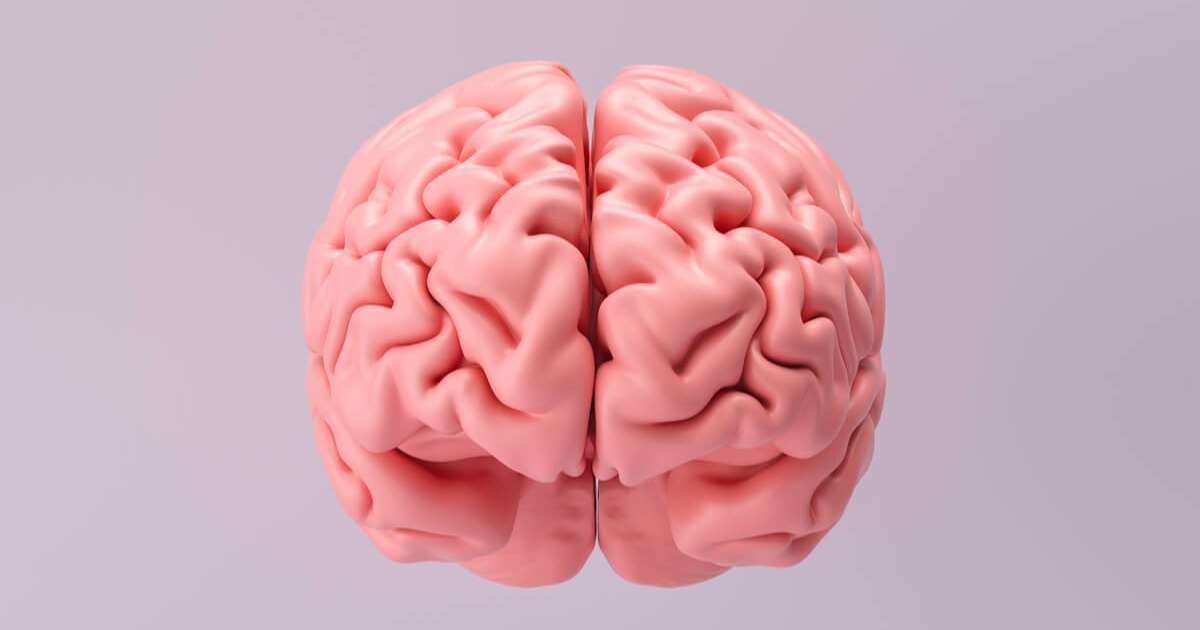 Conheça a fascinante complexidade do cérebro humano