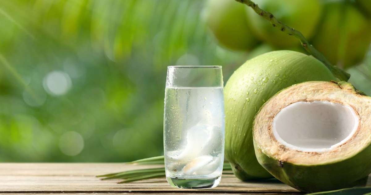 Água de coco: 7 benefícios da bebida para a saúde