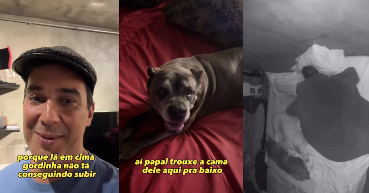 André Marques mostra adaptações que fez em casa para sua cachorra idosa