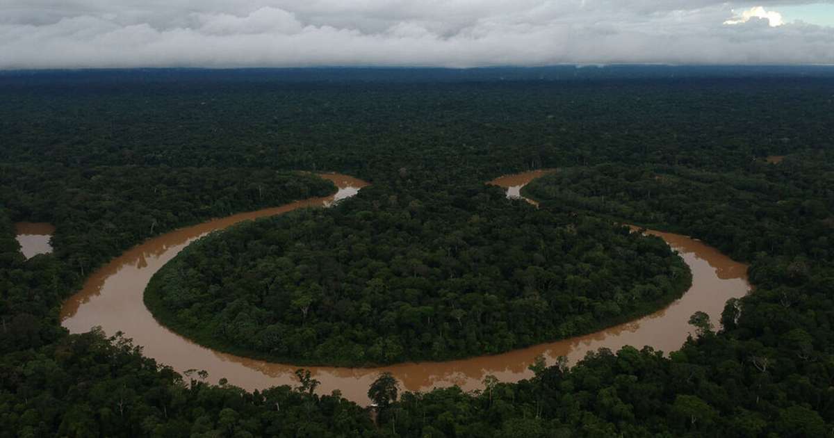 Um ano e meio após a morte de Bruno e Dom, governo apresenta plano de ...