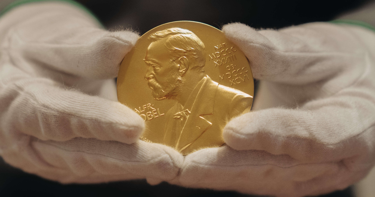 Prêmio Nobel: o que é, como são escolhidos os vencedores, algum ...
