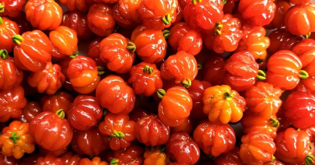 Pitanga: veja motivos para incluir a fruta na sua dieta