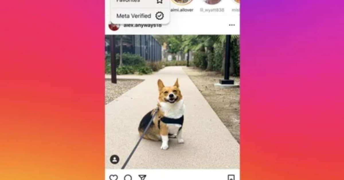 Instagram testa novo feed só com postagens de usuários verificados