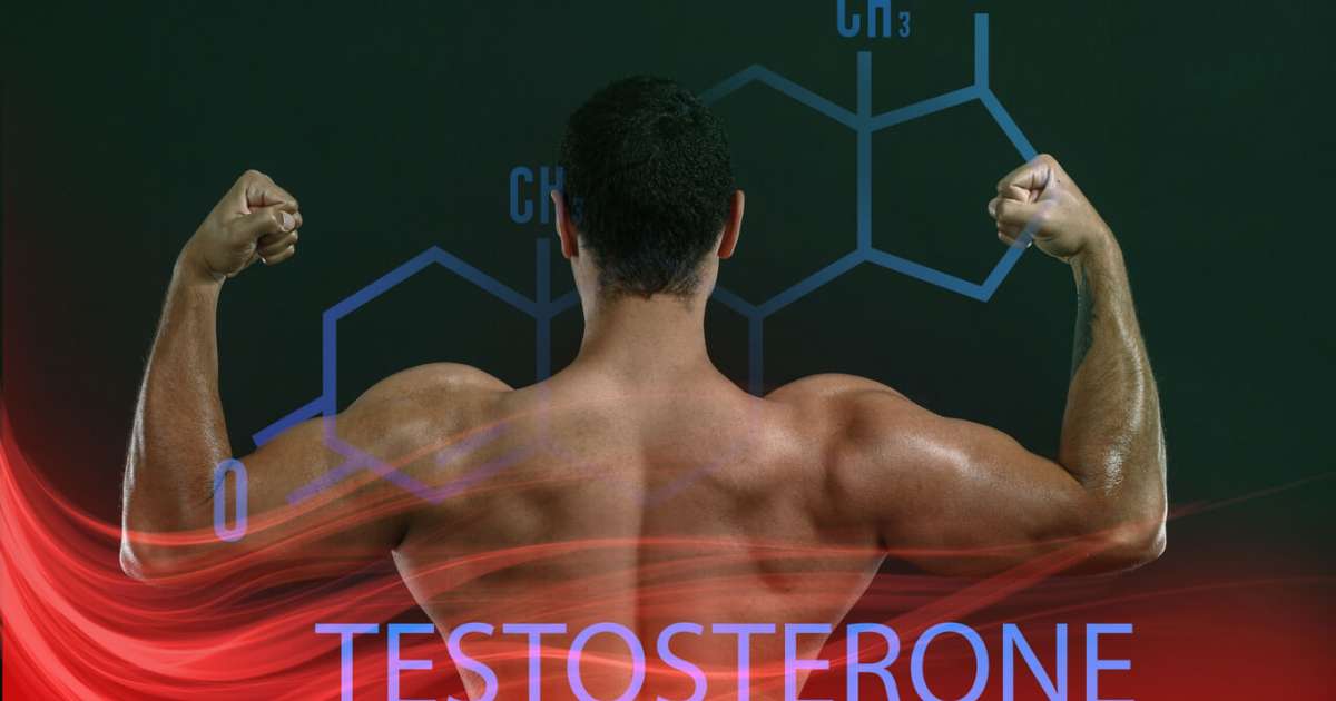 Como aumentar a testosterona naturalmente: nutricionista revela 3 dicas