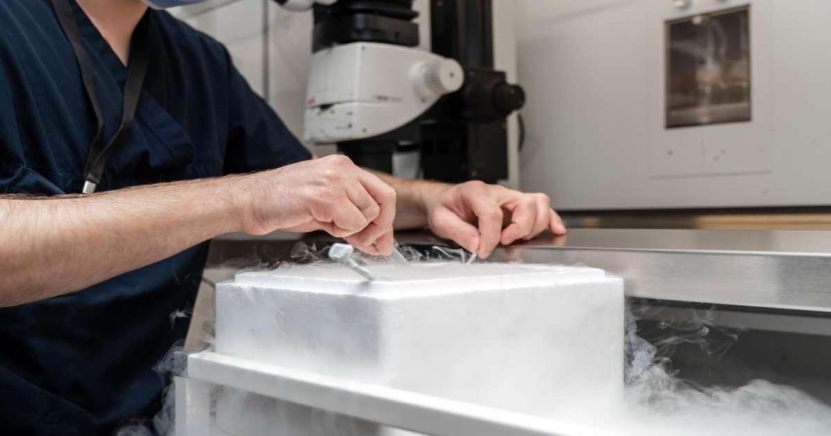 Congelamento de óvulos: como e até quando usar um óvulo congelado?