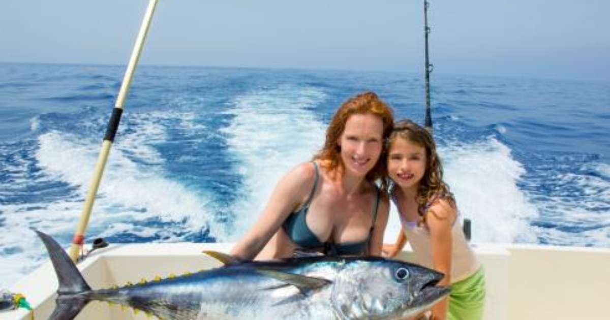 O mistério dos atuns: por que eles nunca param de nadar?