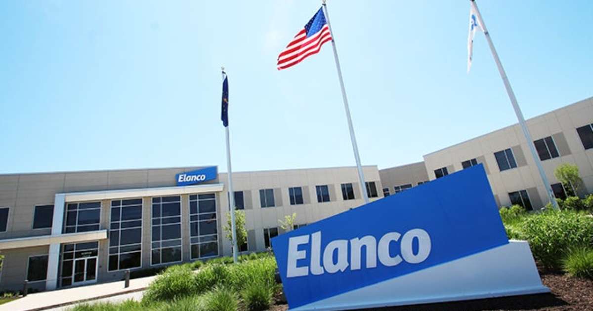 Elanco Saúde Animal cresce 5% no terceiro trimestre