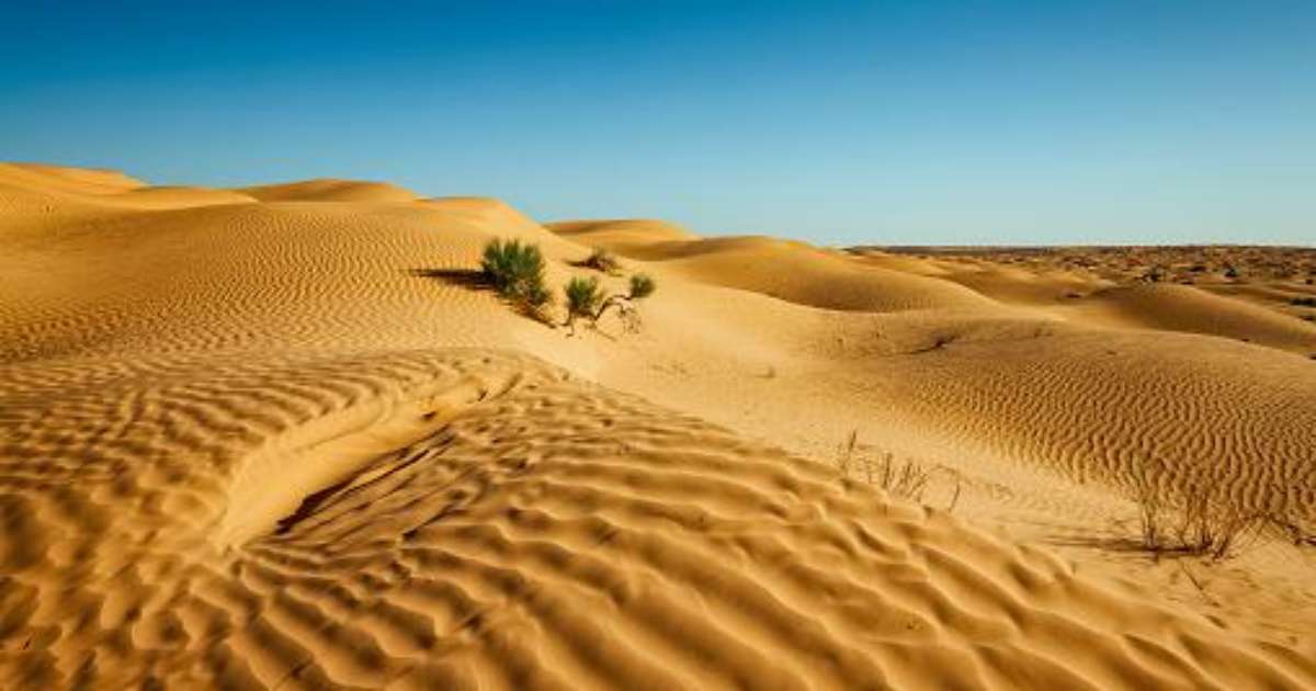 4 coisas que você não sabia sobre o deserto do Saara