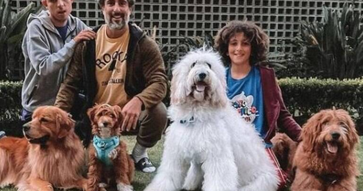 Educação dos cachorros de Mion ao esperar comida impressiona; assista