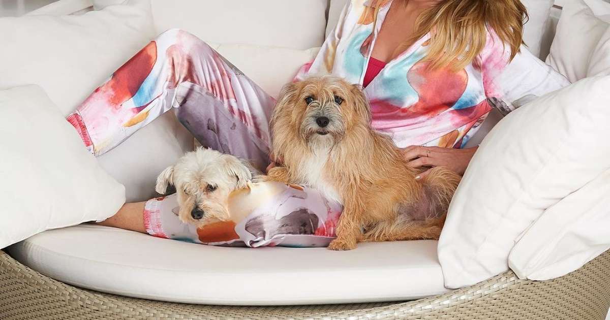 Ana Hickmann tem 15 cachorros e mais de 100 pets; conheça