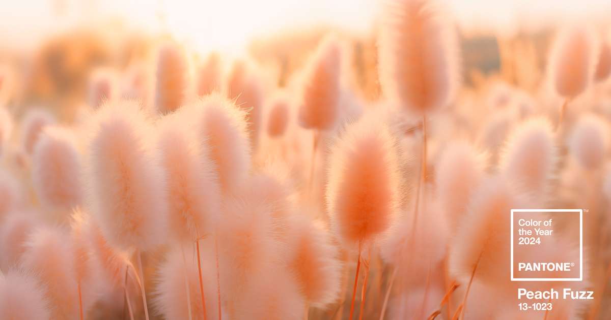 Conheça a energia da cor Peach Fuzz da Pantone