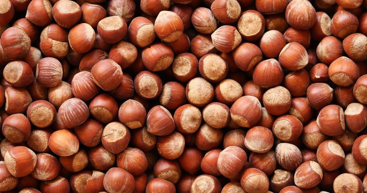 Avelã: benefícios do ingrediente tradicional das receitas de Natal