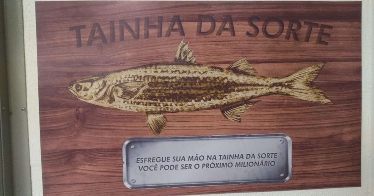 Mega da Virada: lotérica divulga 'tainha da sorte' como amuleto após ...